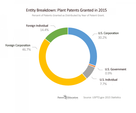 2015 Patent Statistics: An In-Depth Look in Charts and Graphs - Patent ...